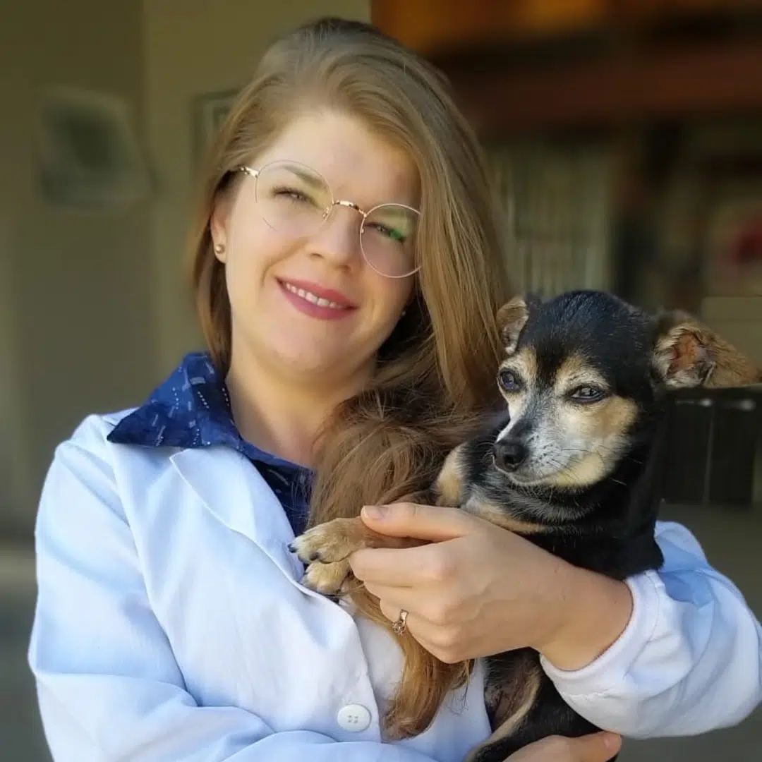 Profissionais Certificados – Camilli Chamone